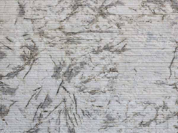 Everest White Rockface Thin - Solstice Stone