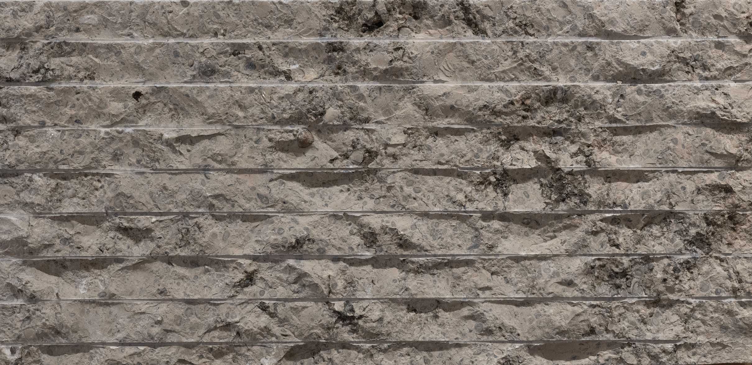 Pamplona Gray Wide Split and Combed - Solstice Stone