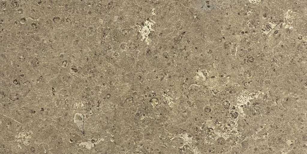 Chestnut Shell Bottom Ledge Brushed - Solstice Stone
